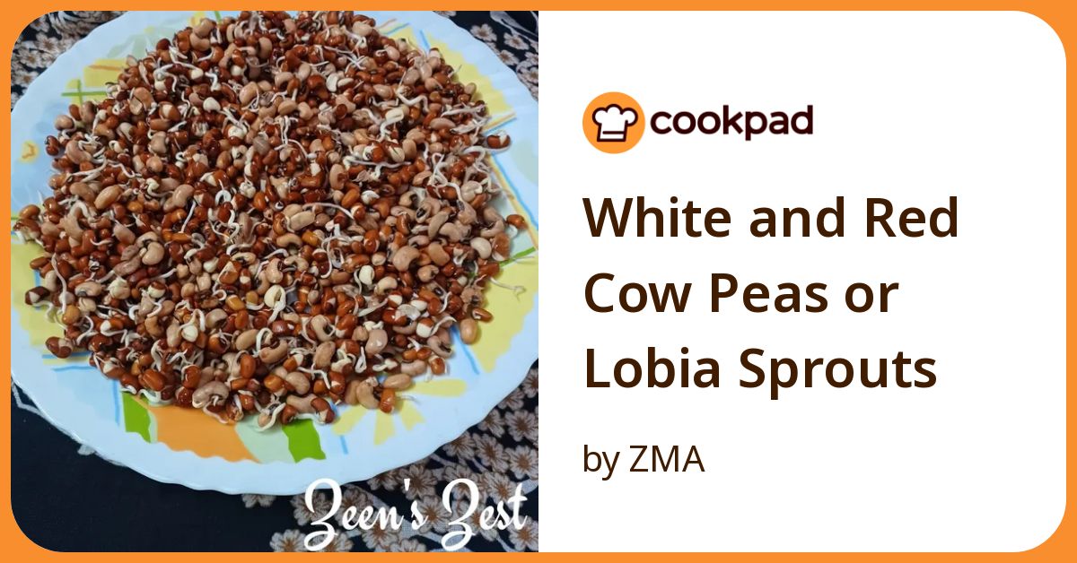 White And Red Cow Peas Or Lobia Sprouts Recipe by ZMA - Cookpad