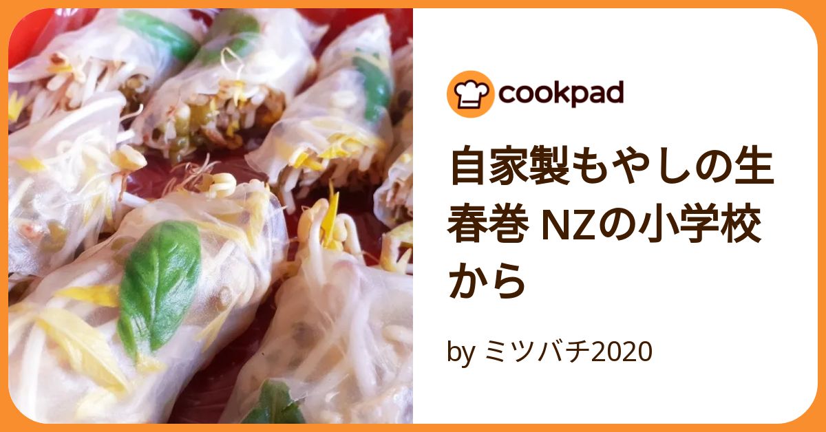 自家製もやしの生春巻 NZの小学校から by ミツバチ2020 【クックパッド】 簡単おいしいみんなのレシピが392万品
