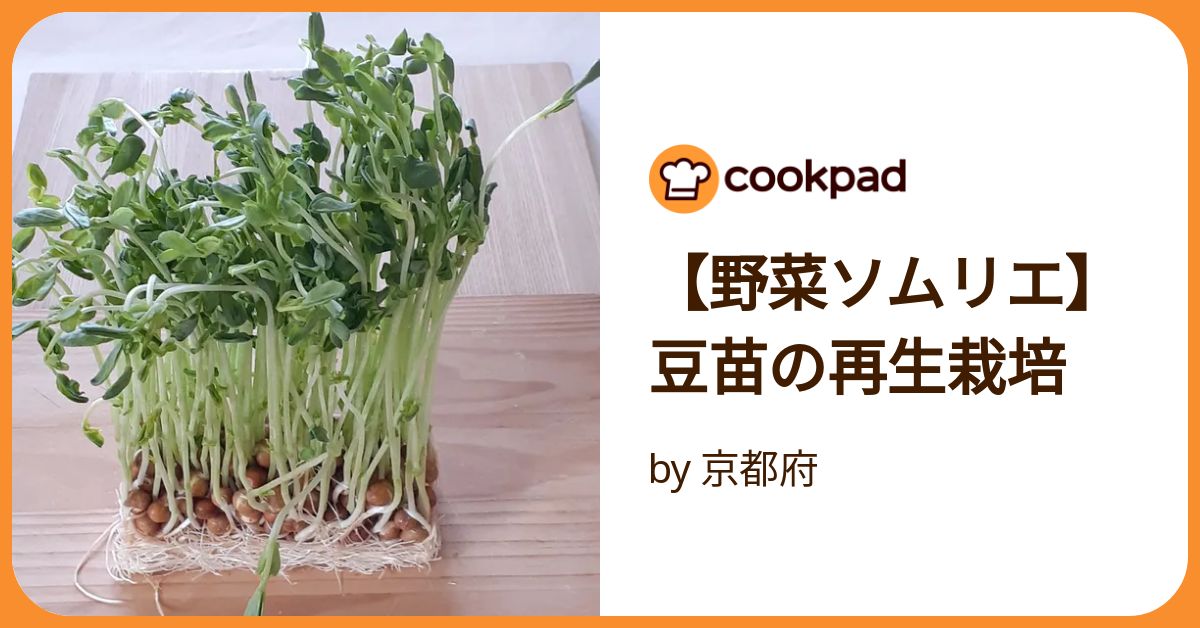 【野菜ソムリエ】豆苗の再生栽培 by 京都府 【クックパッド】 簡単おいしいみんなのレシピが392万品